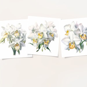 White Orchid Clipart, Clipart Bundle, White Exotic Flowers, Pritable ...