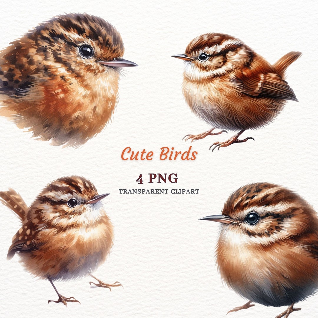 Watercolor Birds Clipart, Cute Little Birds Clipart Bundle, 4 High ...