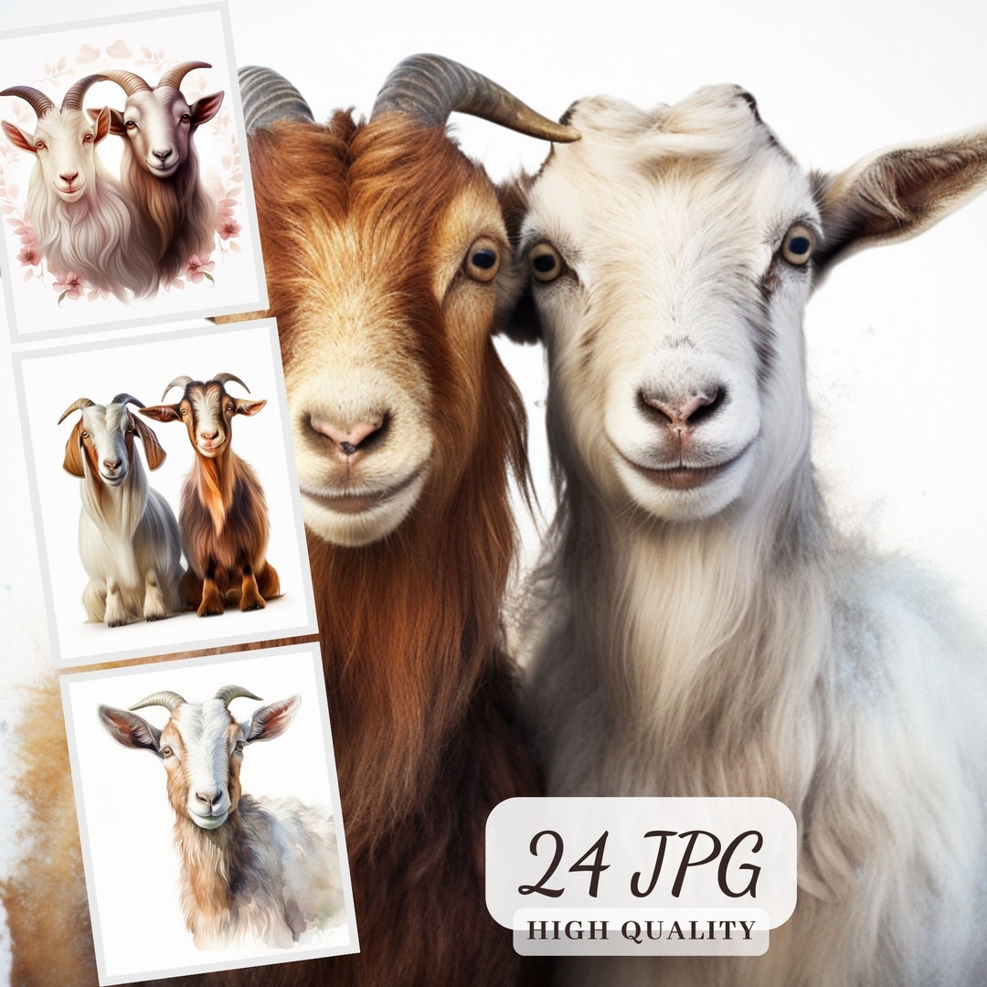Farm Goats Clipart, Cute Goats Images, 24 High Quality JPG ...