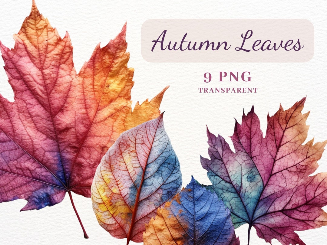 Watercolor Fall Leaves Clipart, PNG Clipart Bundle, 9 PNG Images ...