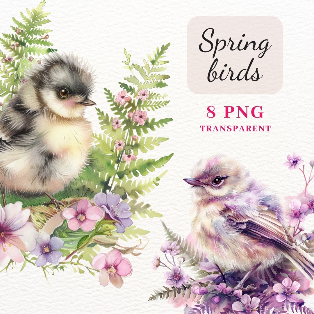 Spring Birds Clipart, Watercolor Birds Clipart, 8 High Quality PNG ...