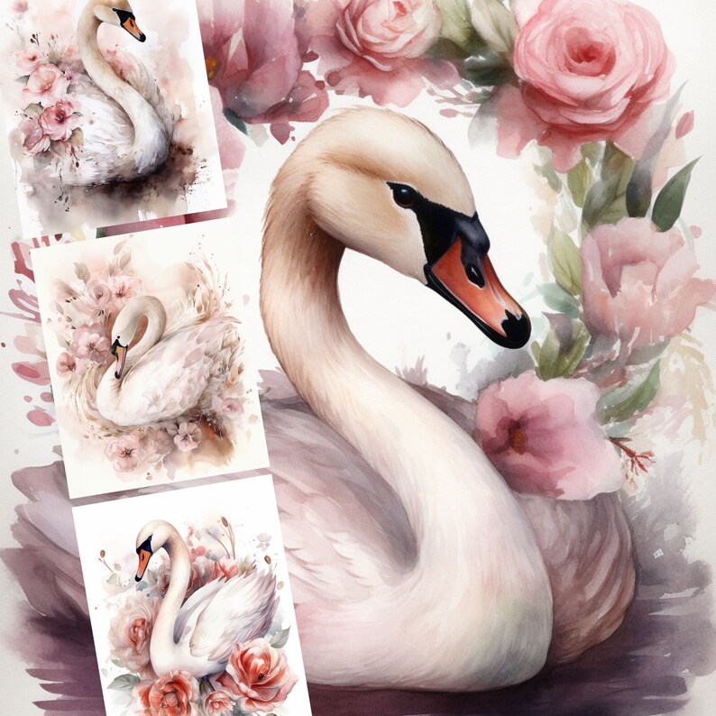 Watercolor Floral Swans Set of 18 JPG Files Digital - Etsy