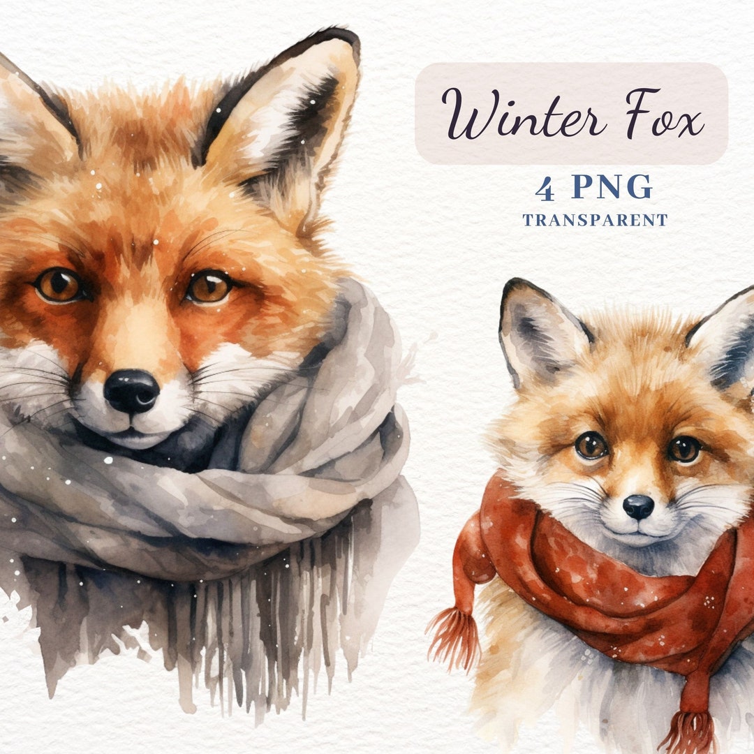 Winter Fox Clipart 4 High Quality PNG Images PNG Clipart - Etsy