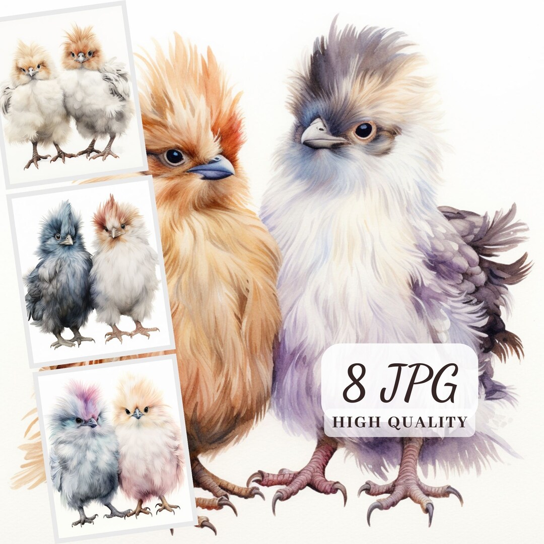 Two Silkie Chicken Clipart, 8 High Quality JPG Images for Sublimation ...