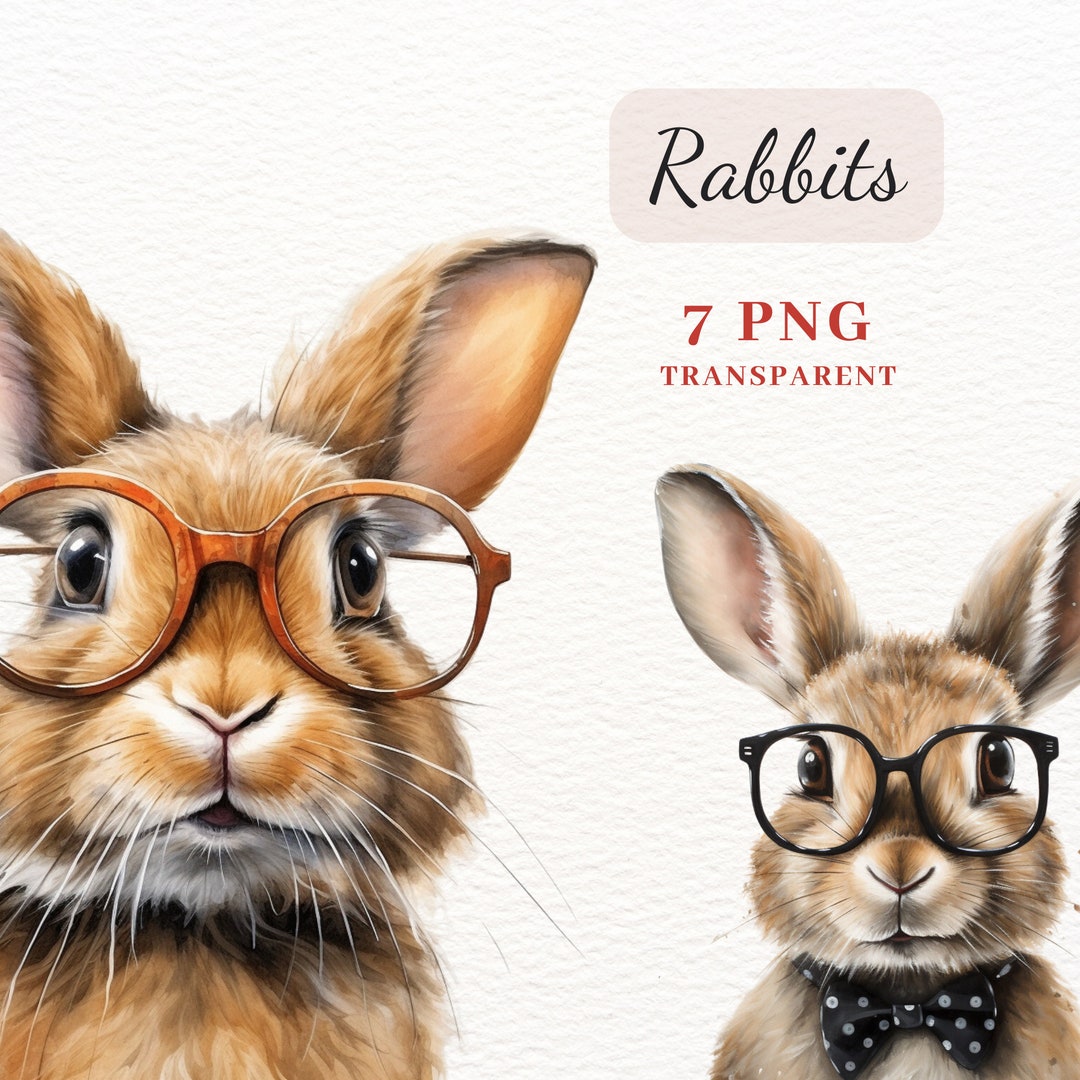 Rabbit With Glasses Clipart, PNG Clipart Bundle, 7 High Quality PNG ...