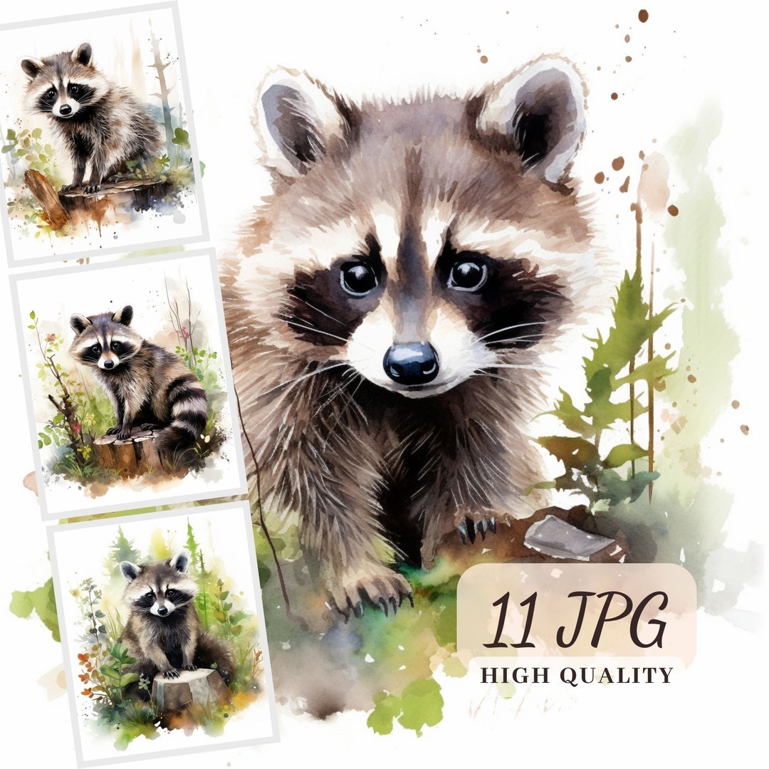 Watercolor Raccoon Clipart, 11 High Quality Digital Images, Winter ...