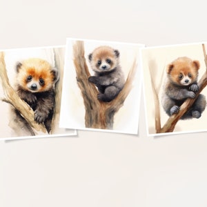 Little Bear Clipart Bundle, Scrapbooking, Planner Graphics (digital ...