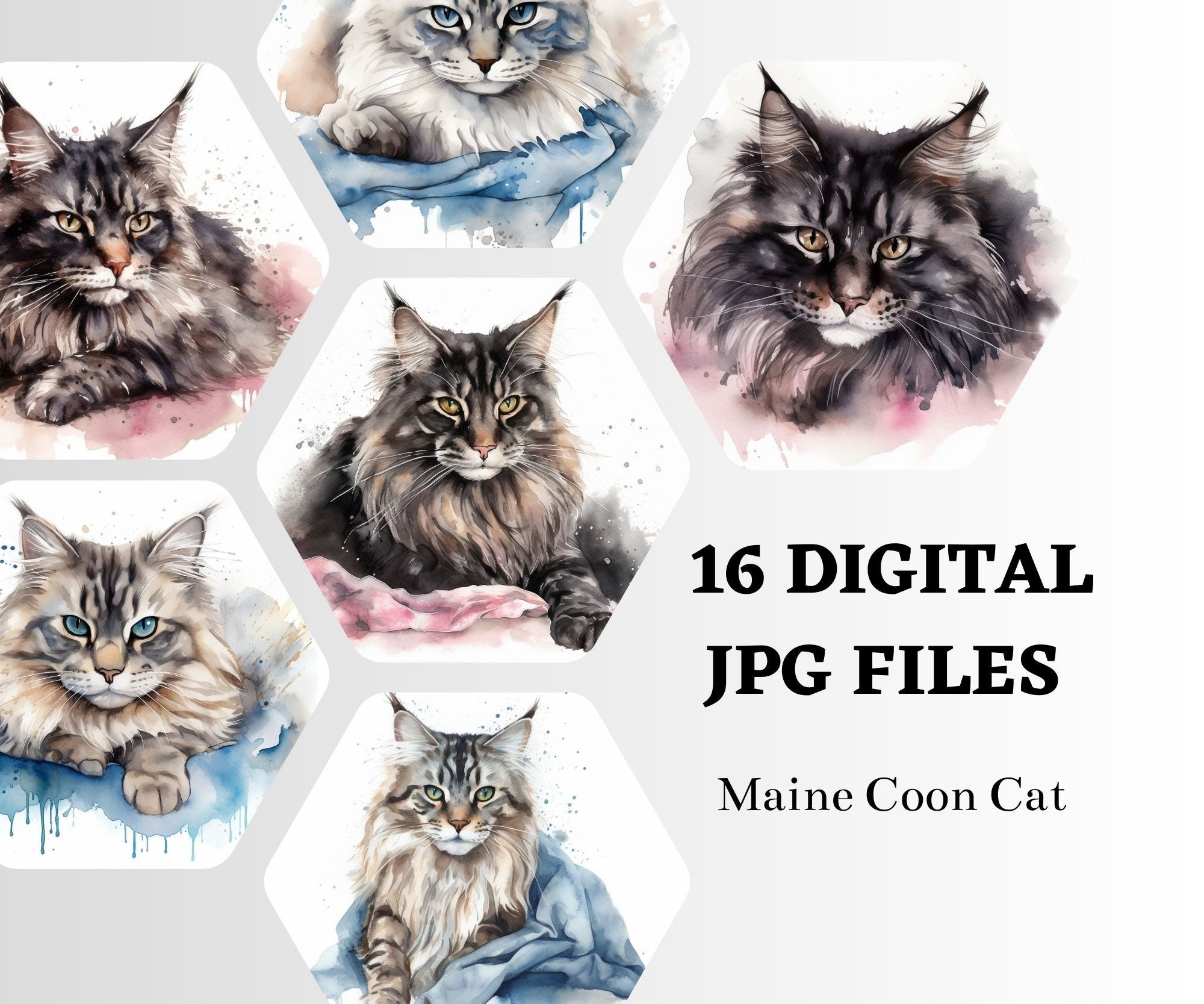 Watercolor Maine Coon Cats Clipart, JPG Clipart Bundle, Set of 16 ...