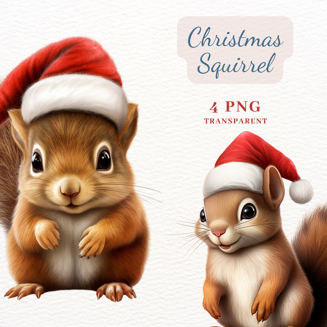 Christmas Squirrel Clipart High Quality 4 PNG Images for - Etsy