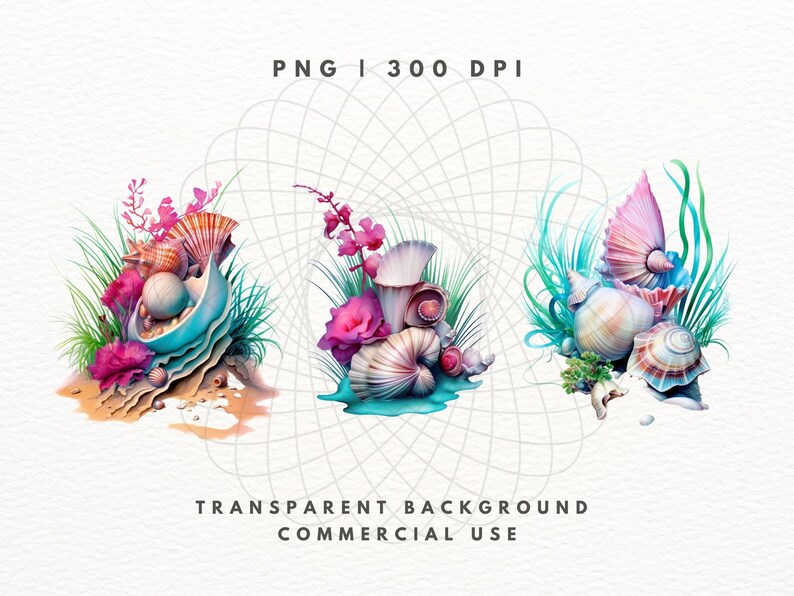 Ocean Life PNG Clipart PNG Ocean Theme Clipart Bundle Sea - Etsy