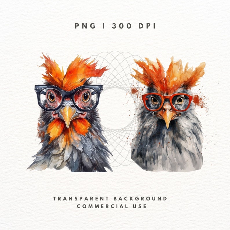 Stylish Rooster Clipart PNG Clipart Bundle 4 High Quality - Etsy