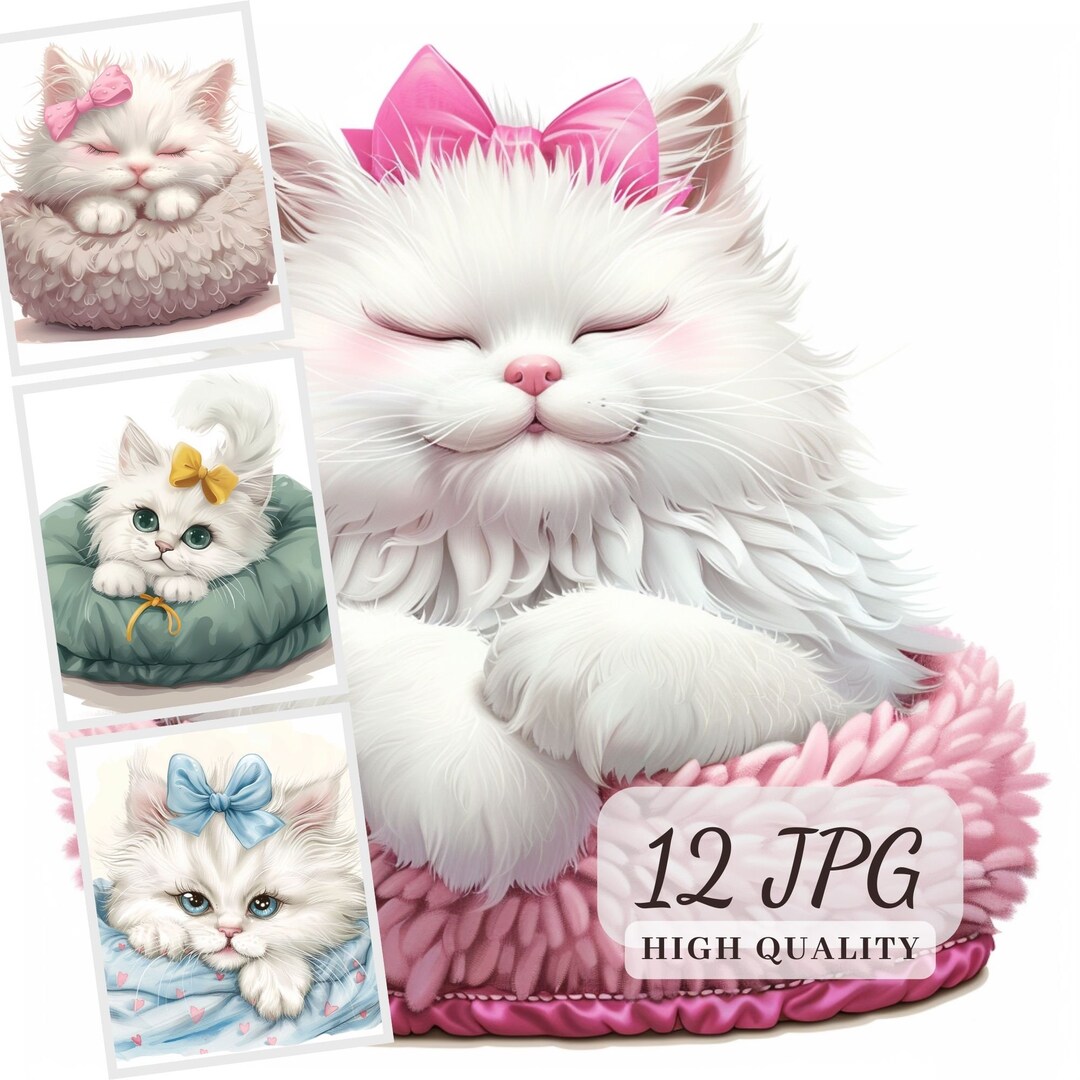 Fluffy Cat Clipart Bundle, 12 High Quality JPG Images, White Cat in Bed ...