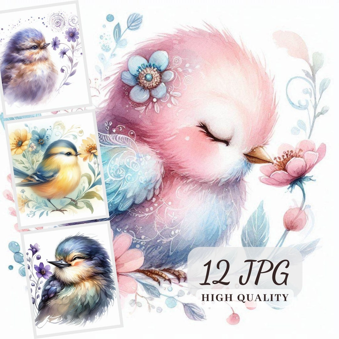 Watercolor Birds Clipart, Cute Birds Images, 12 High Quality JPG for ...