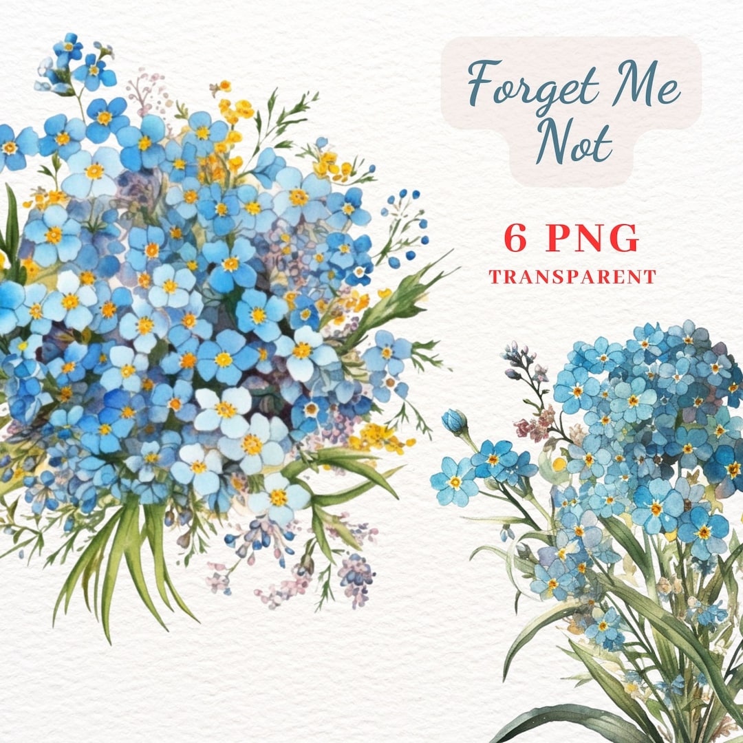Forget Me Not Clipart, Blue Flowers PNG Clipart Bundle, 6 High Quality ...