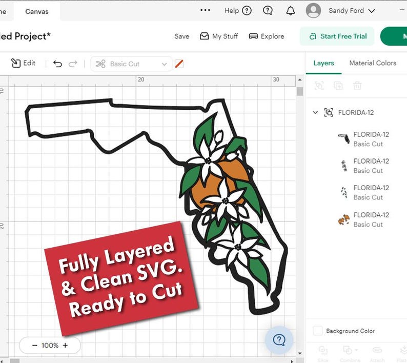 Florida SVG Bundle – Hand Drawn State Outline, Flag, Flower, Landscape ...