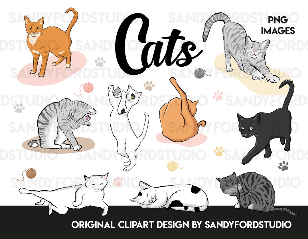 Cats Clipart Collection - Instant Download - PNG Files - Etsy