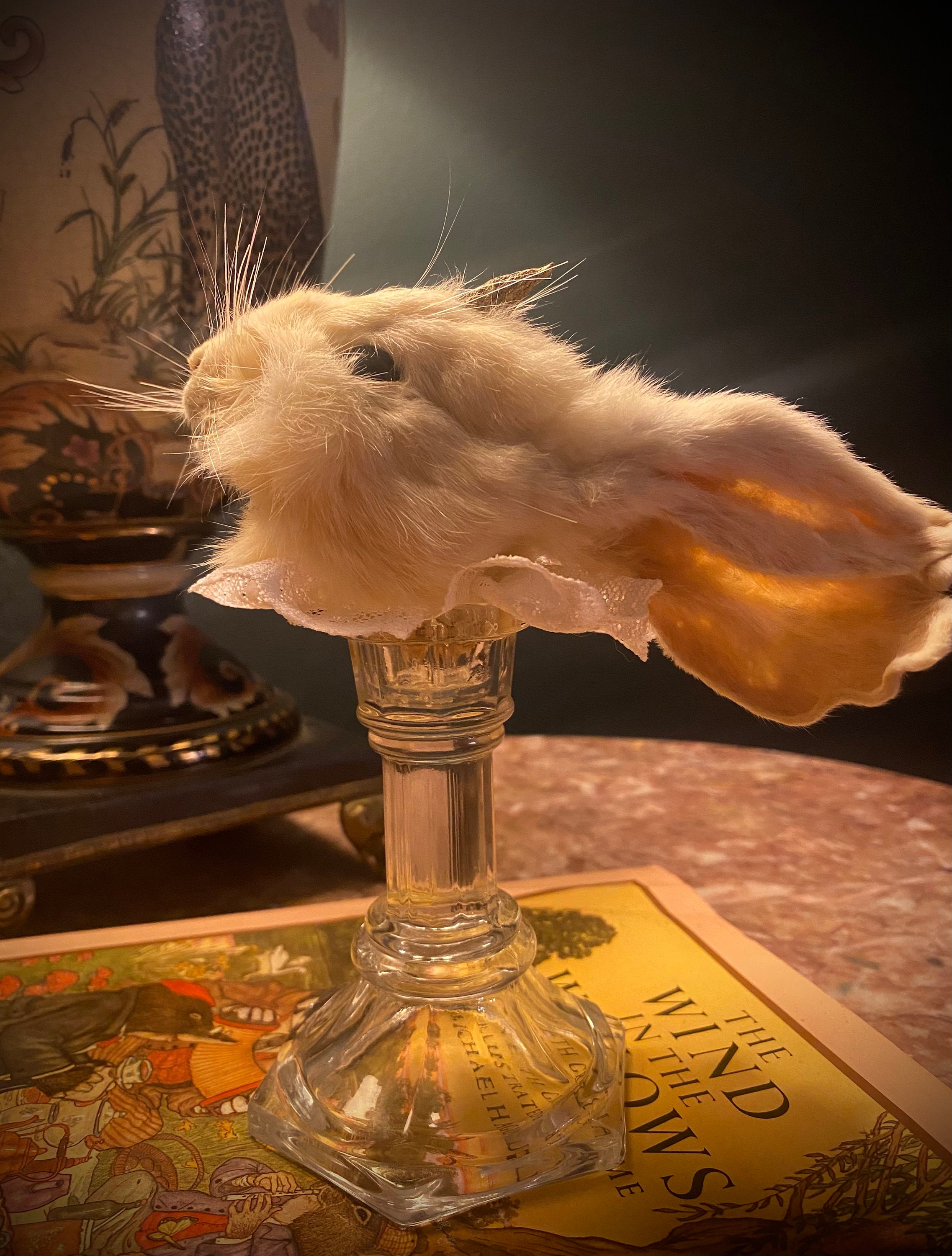 Bunnycorn Head Mount Taxidermy Rabbit Head - Etsy