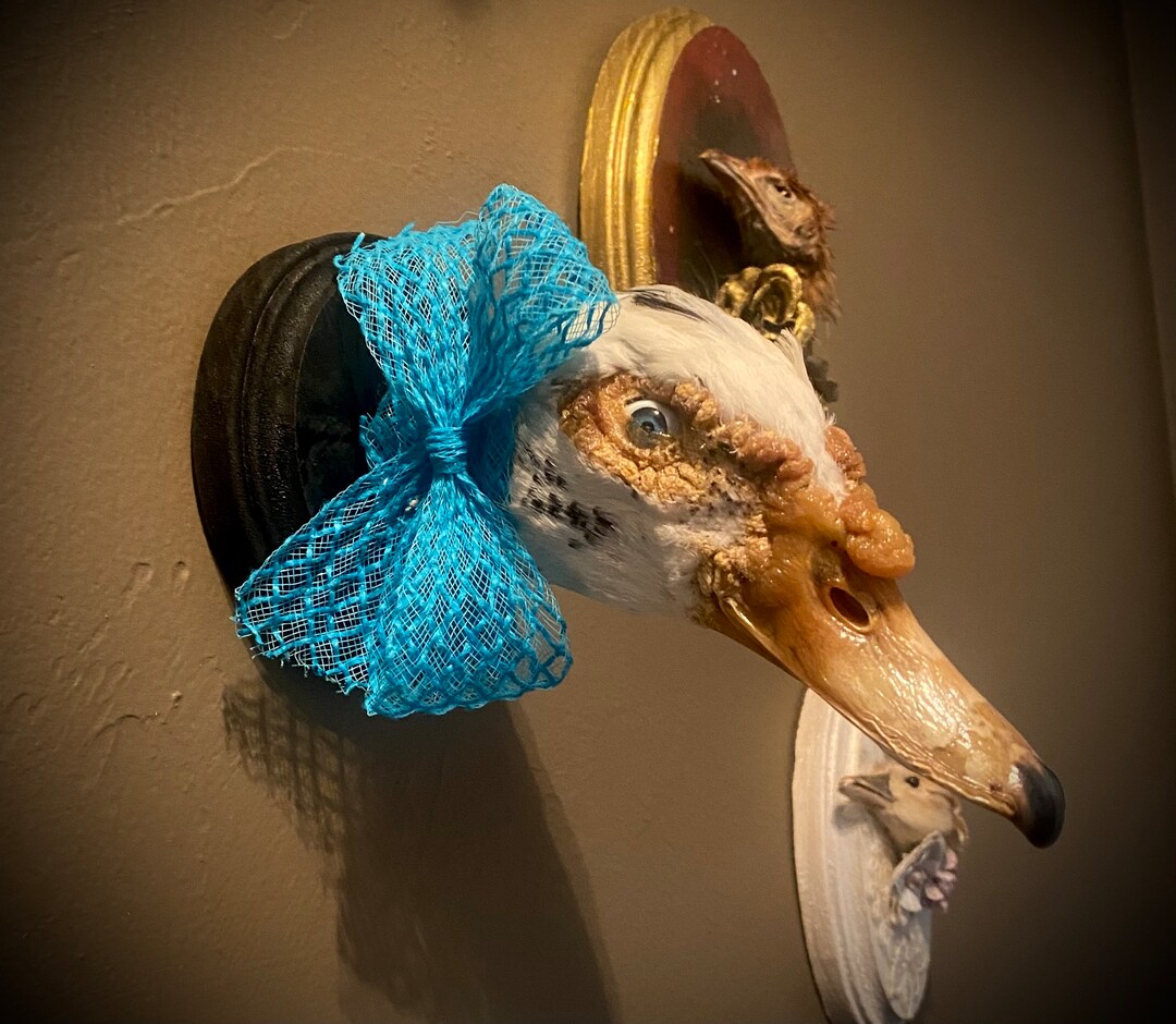 Mummified Duck Head Plaque - Etsy