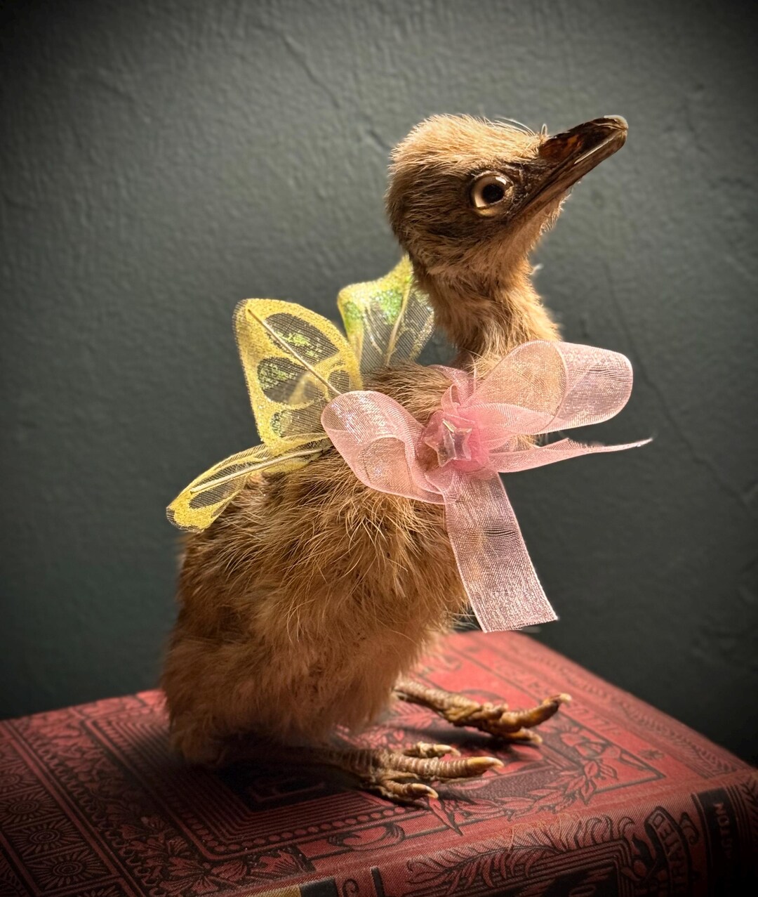 Fairy Emu Chick- Ethically Sourced - Etsy