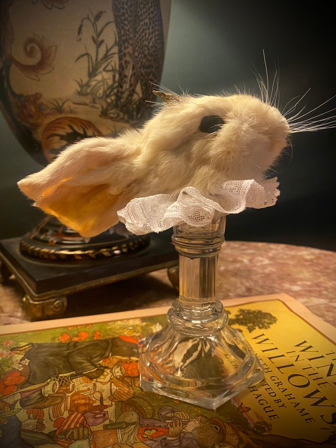 Bunnycorn Head Mount Taxidermy Rabbit Head - Etsy