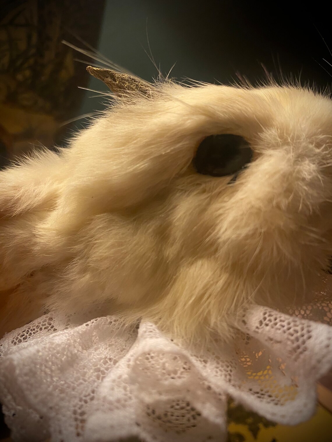 Bunnycorn Head Mount Taxidermy Rabbit Head - Etsy