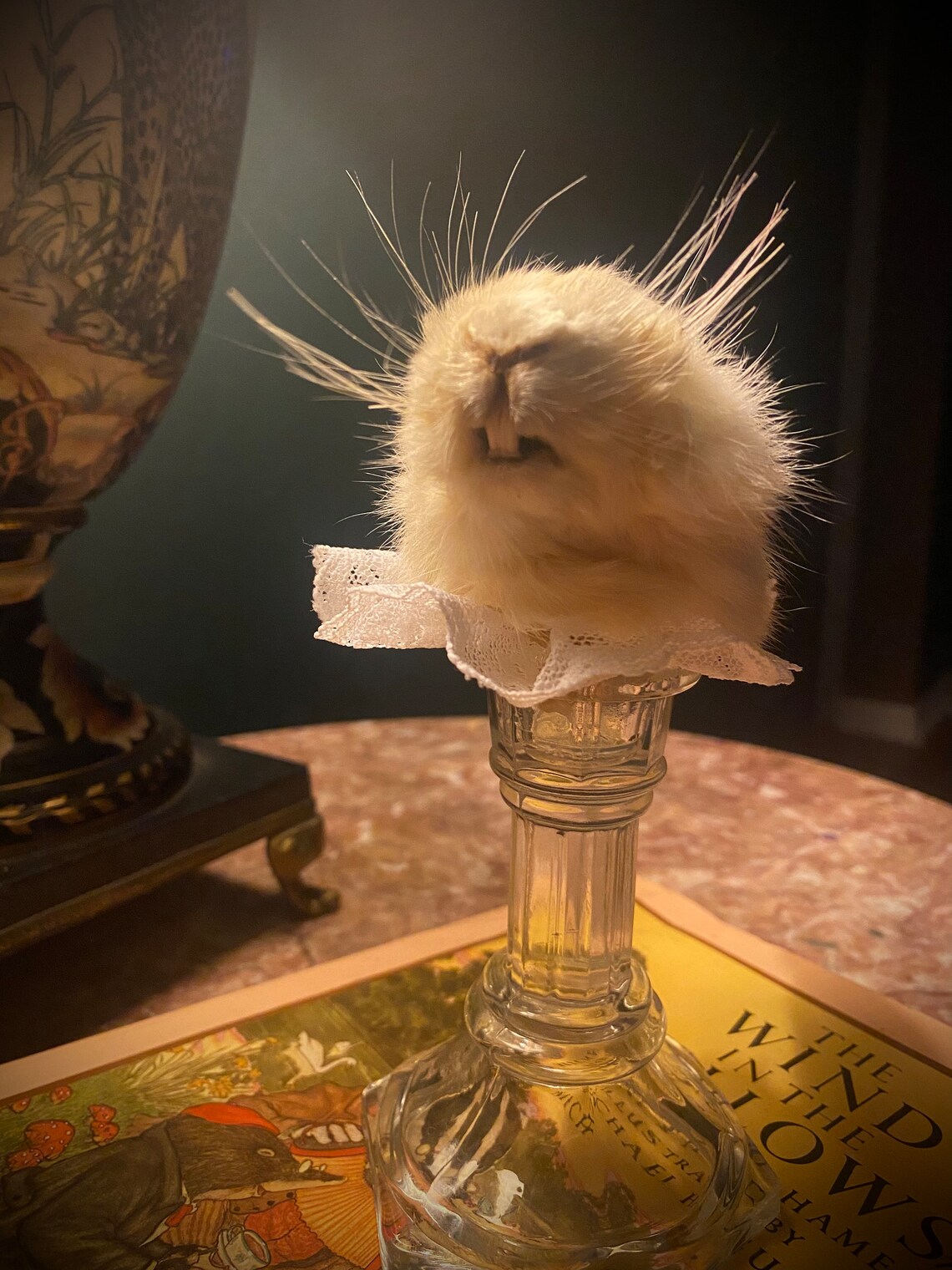 Bunnycorn Head Mount Taxidermy Rabbit Head - Etsy