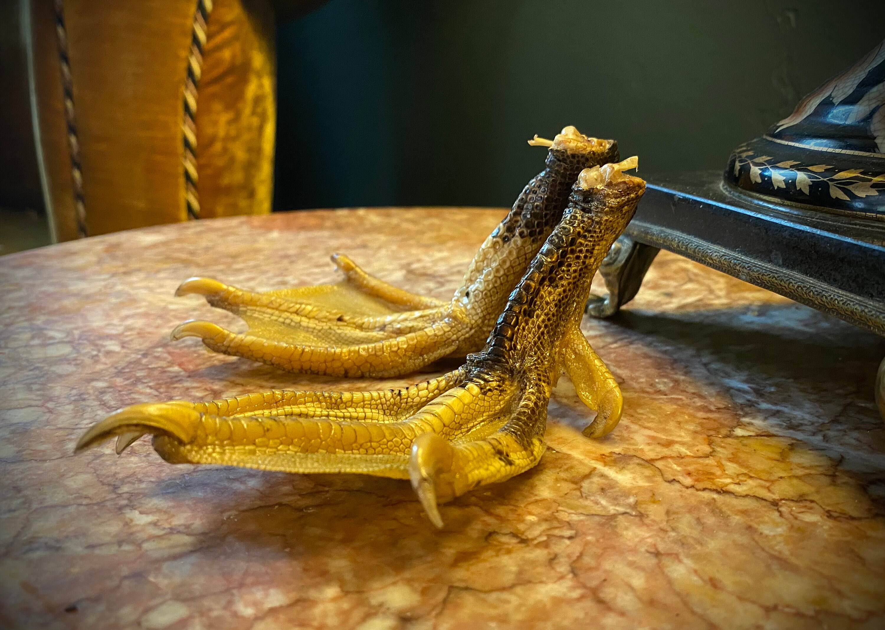 Pair of Mummified Duck Feet - Etsy