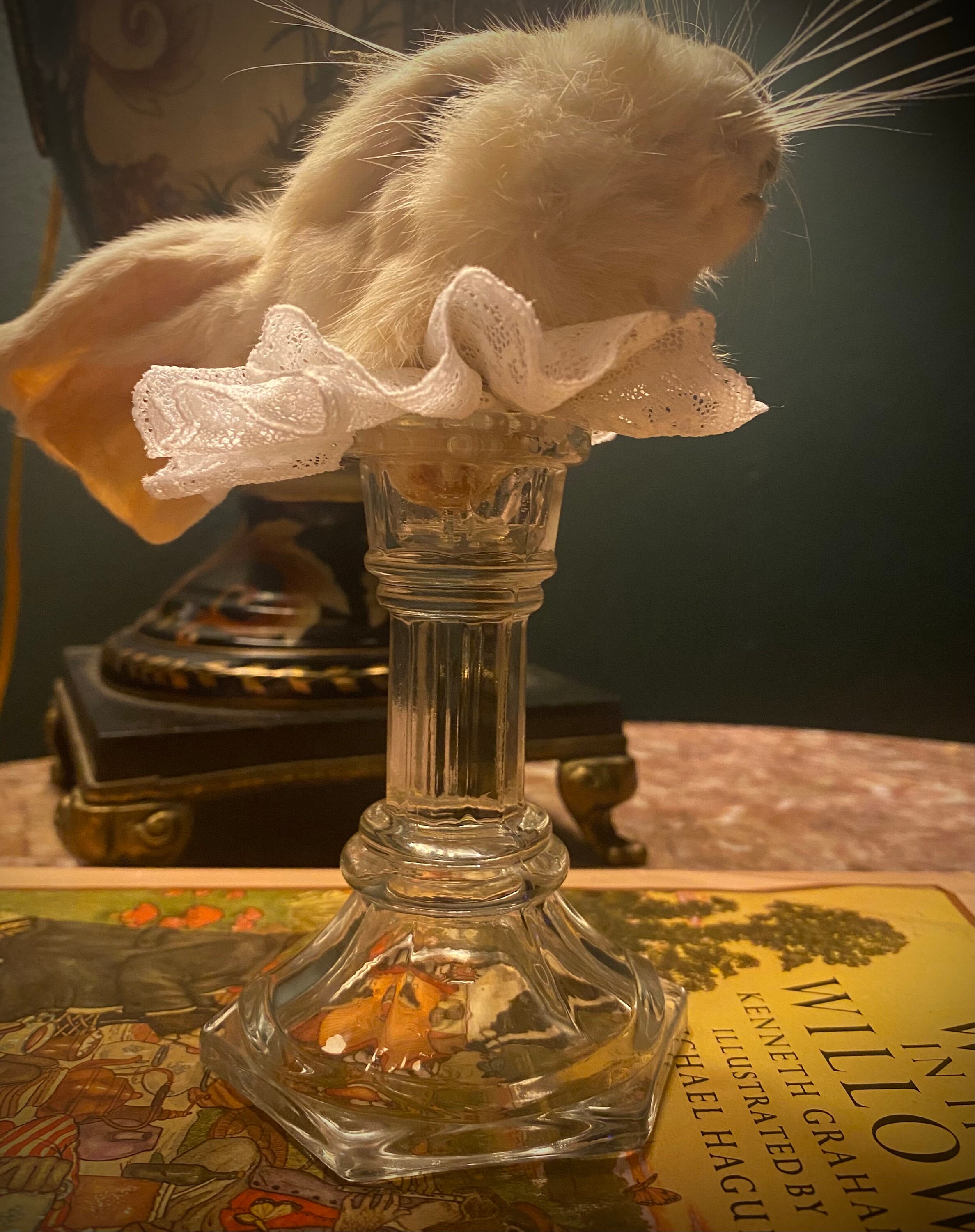 Bunnycorn Head Mount Taxidermy Rabbit Head - Etsy