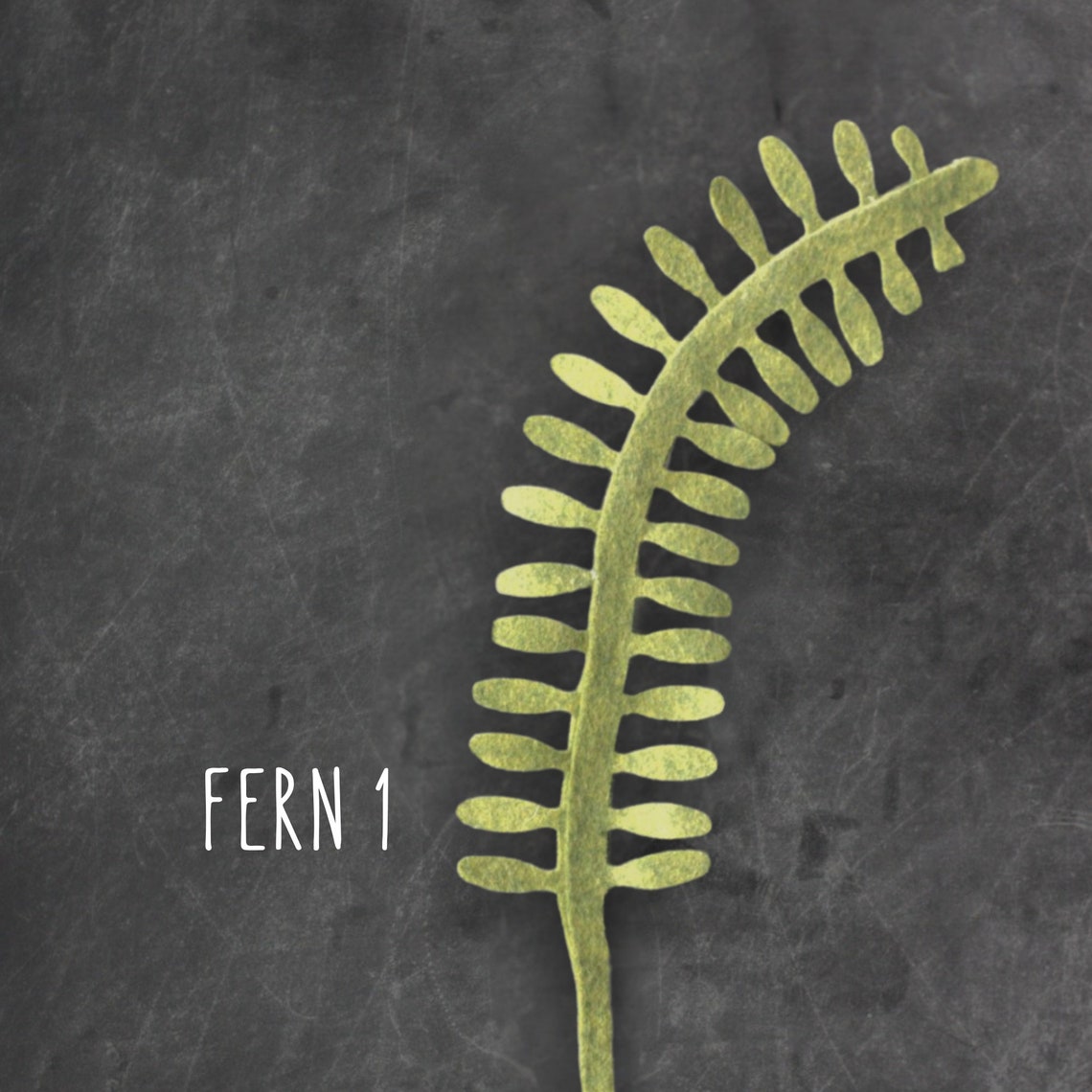 Felt Greenery Bundle 3 Foliage Shapes Felt Leaves Felt Ferns Wedding ...