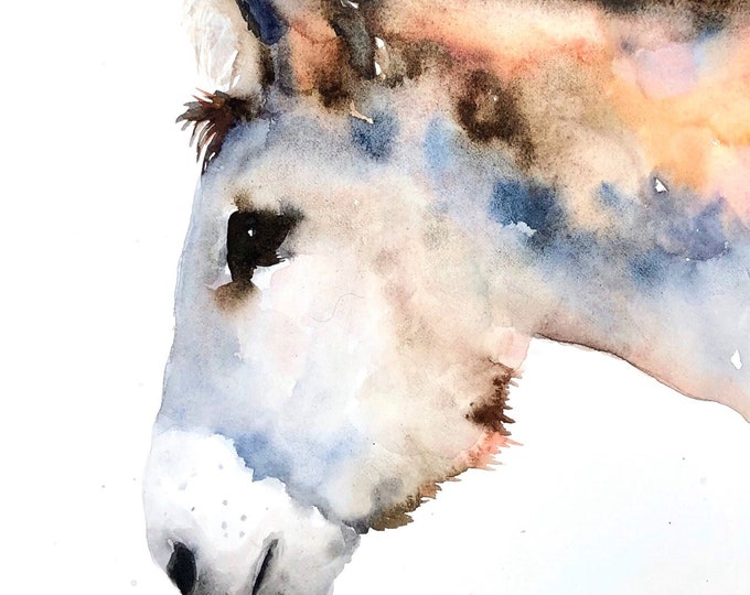 Donkey Study Watercolor Print Watercolor Giclee Donkey - Etsy