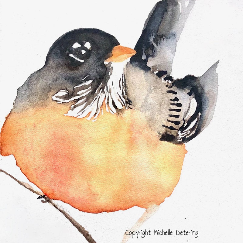 Robin Watercolor - Etsy