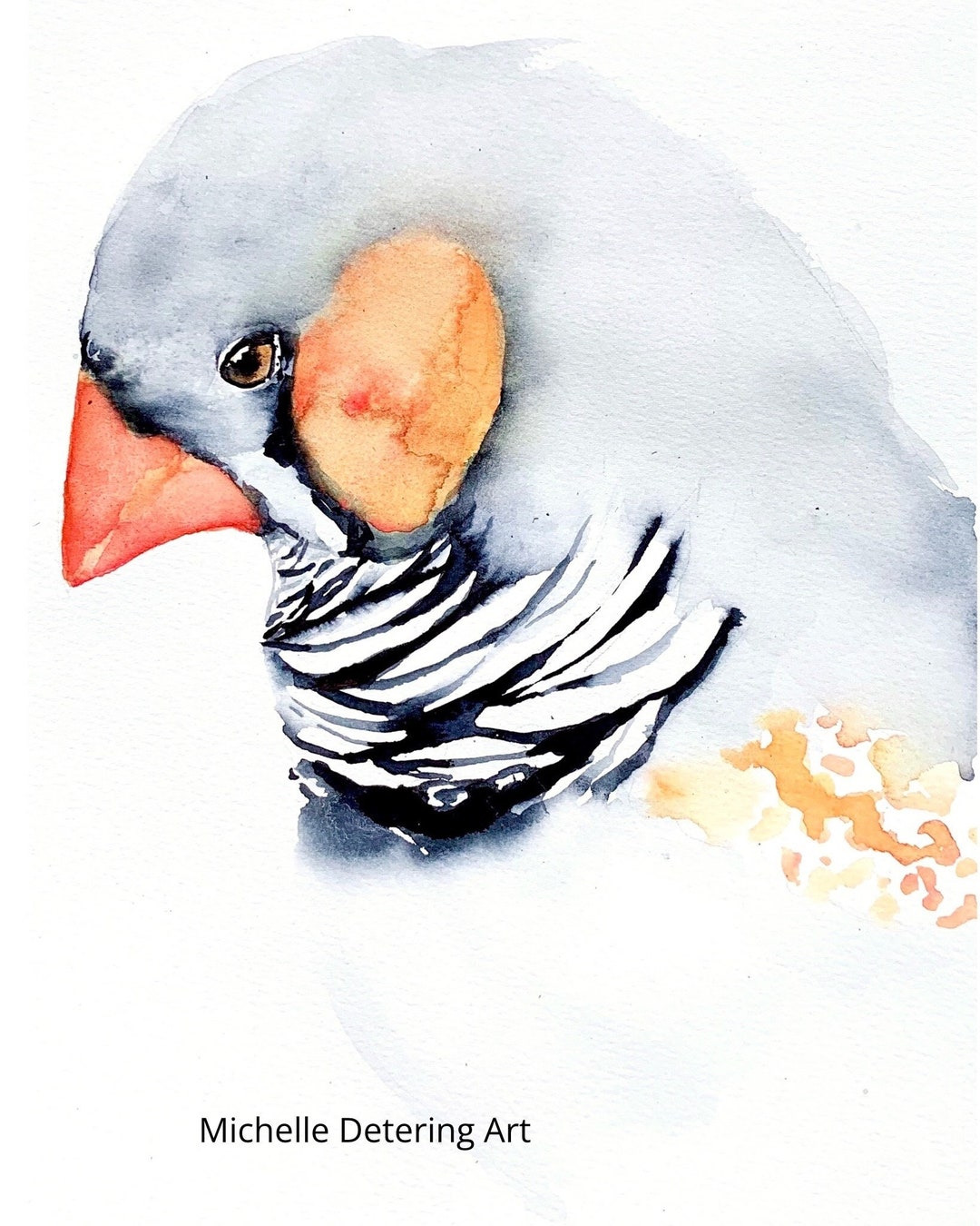 Zebra Finch - Watercolor Art, Zebra Finch Painting, Zebra Finch Art ...
