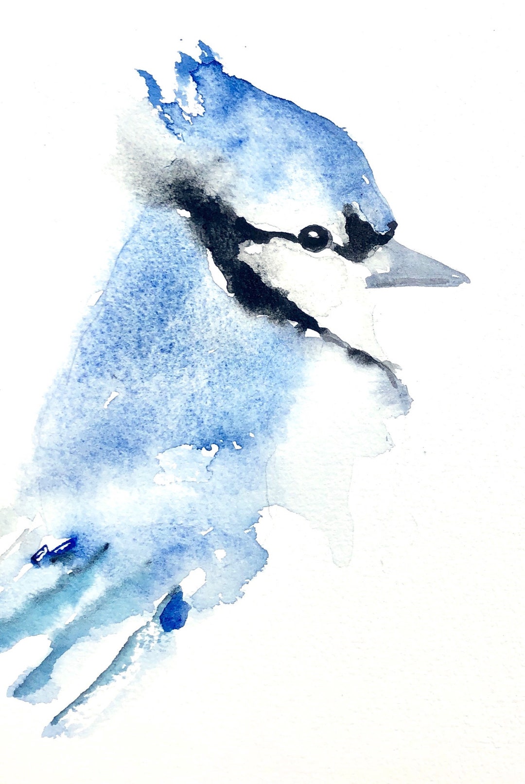 Blue Jay - Baby Blue Jay, Blue Jay Watercolor, Blue Jay Art, Blue Jay ...