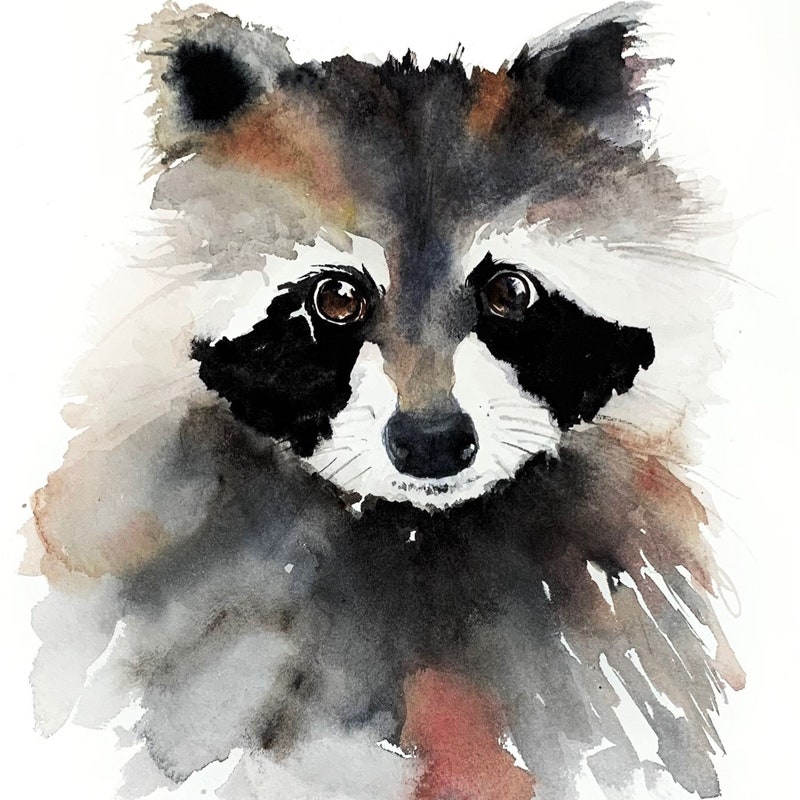 Raccoon Art - Etsy