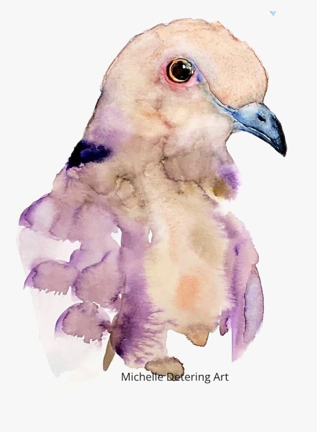 Mourning Dove - Watercolor, Watercolor Print, Dove Art, Dove Watercolor ...