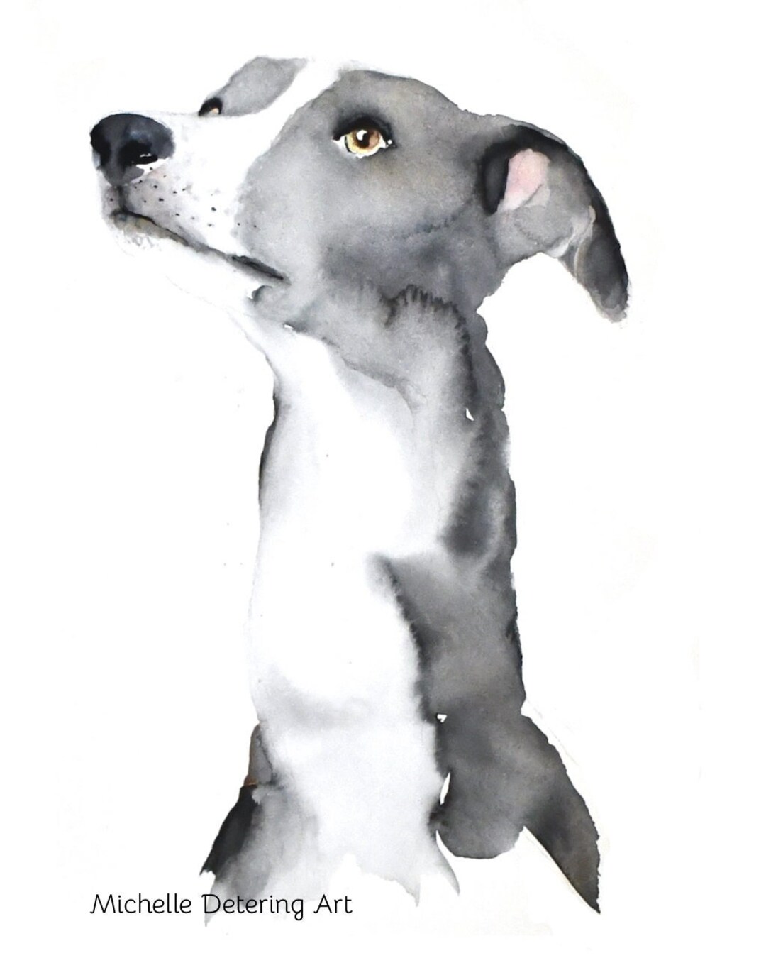 Greyhound - Watercolor Print, Watercolor Greyhound, Watercolor Dog ...
