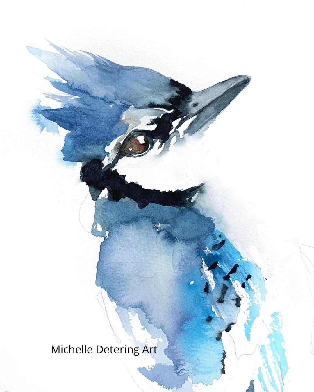 Blue Jay Study - Watercolor Print, Blue Jay Art, Blue Jay Decor, Blue ...