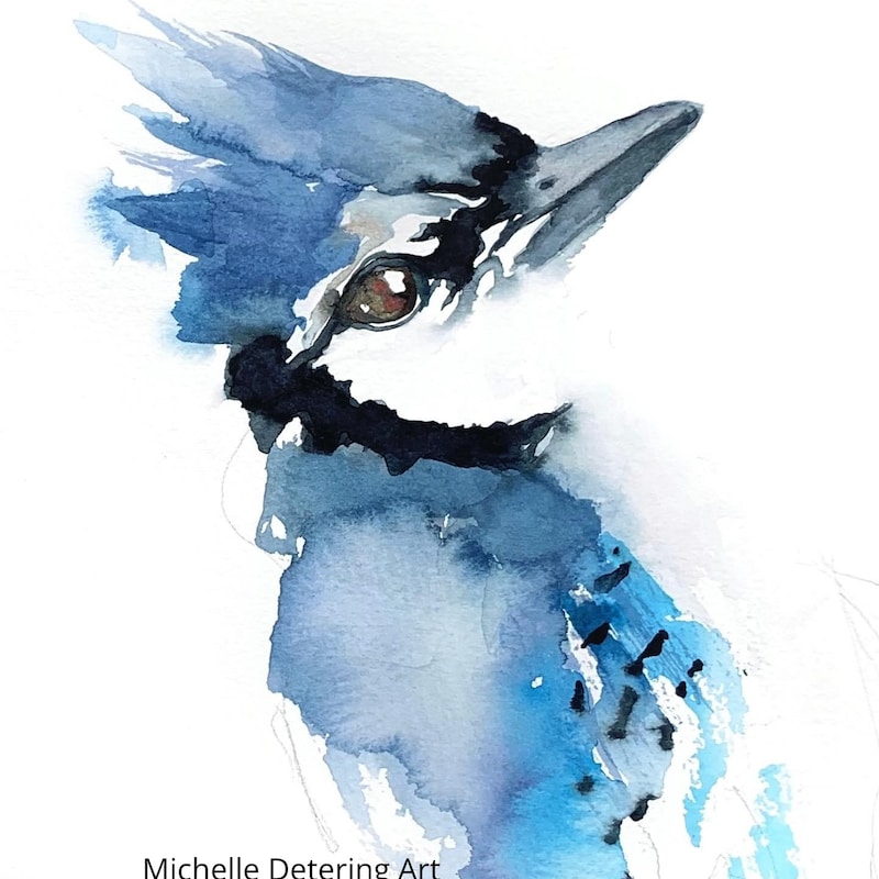 Blue Jay Art - Etsy