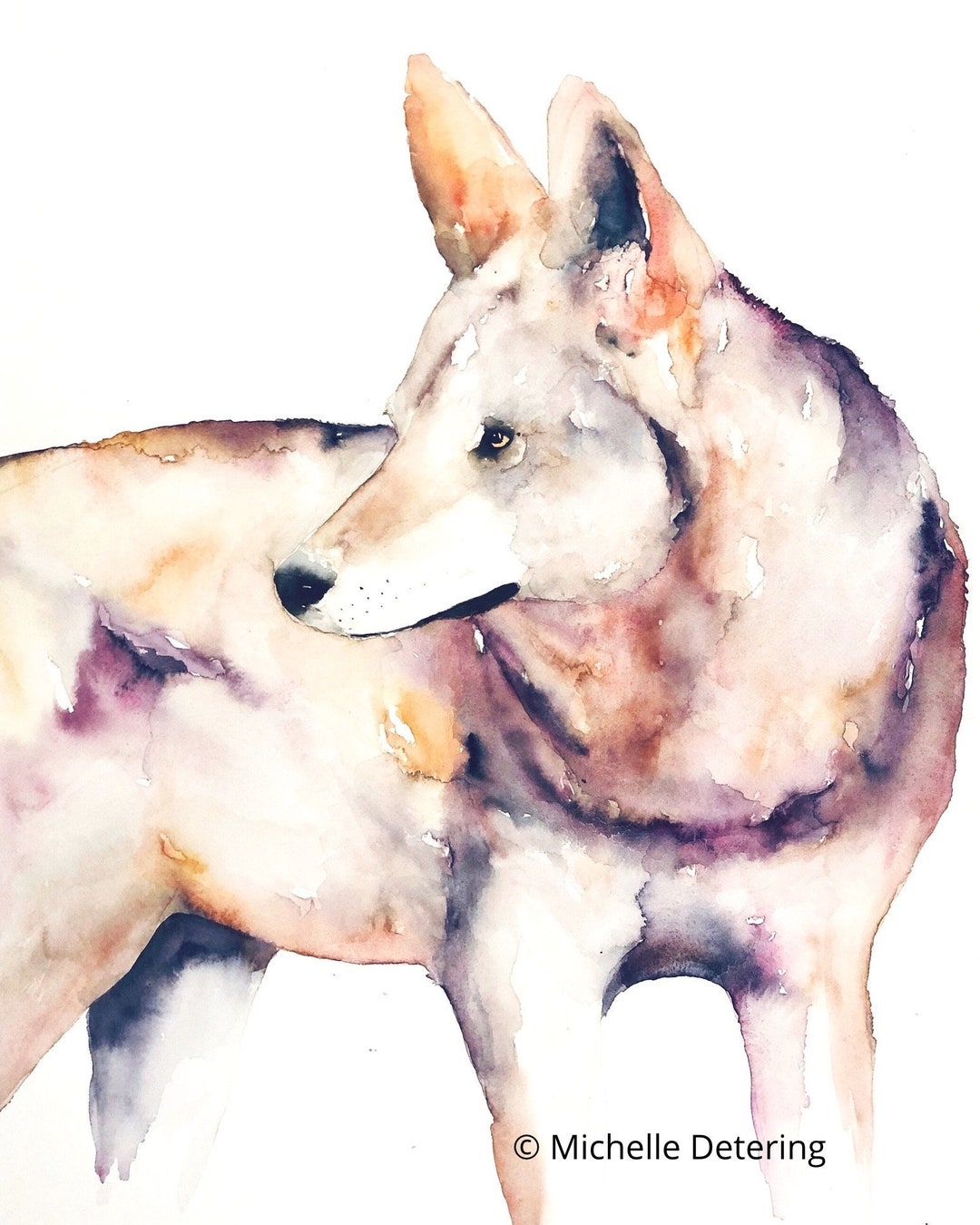 Red Wolf - Wolf Watercolor, Wolf Art, Endangered Species Art, Wolf ...