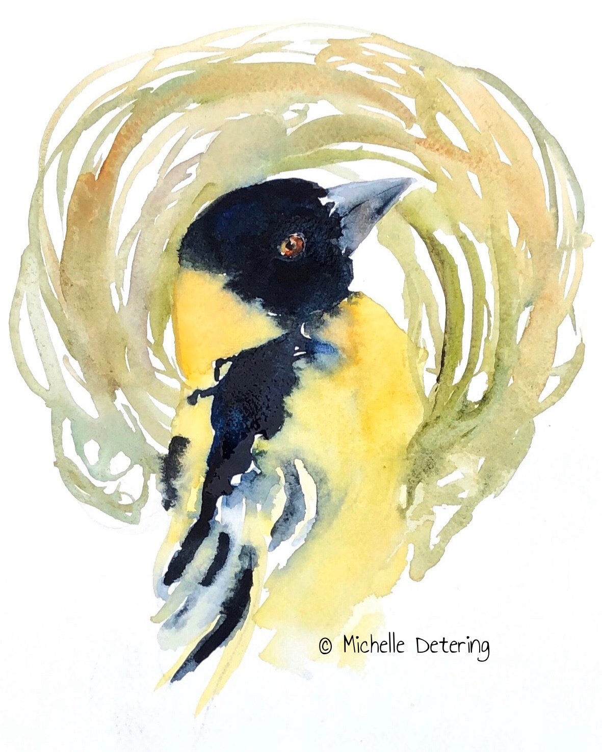 Weaver Bird Drawing