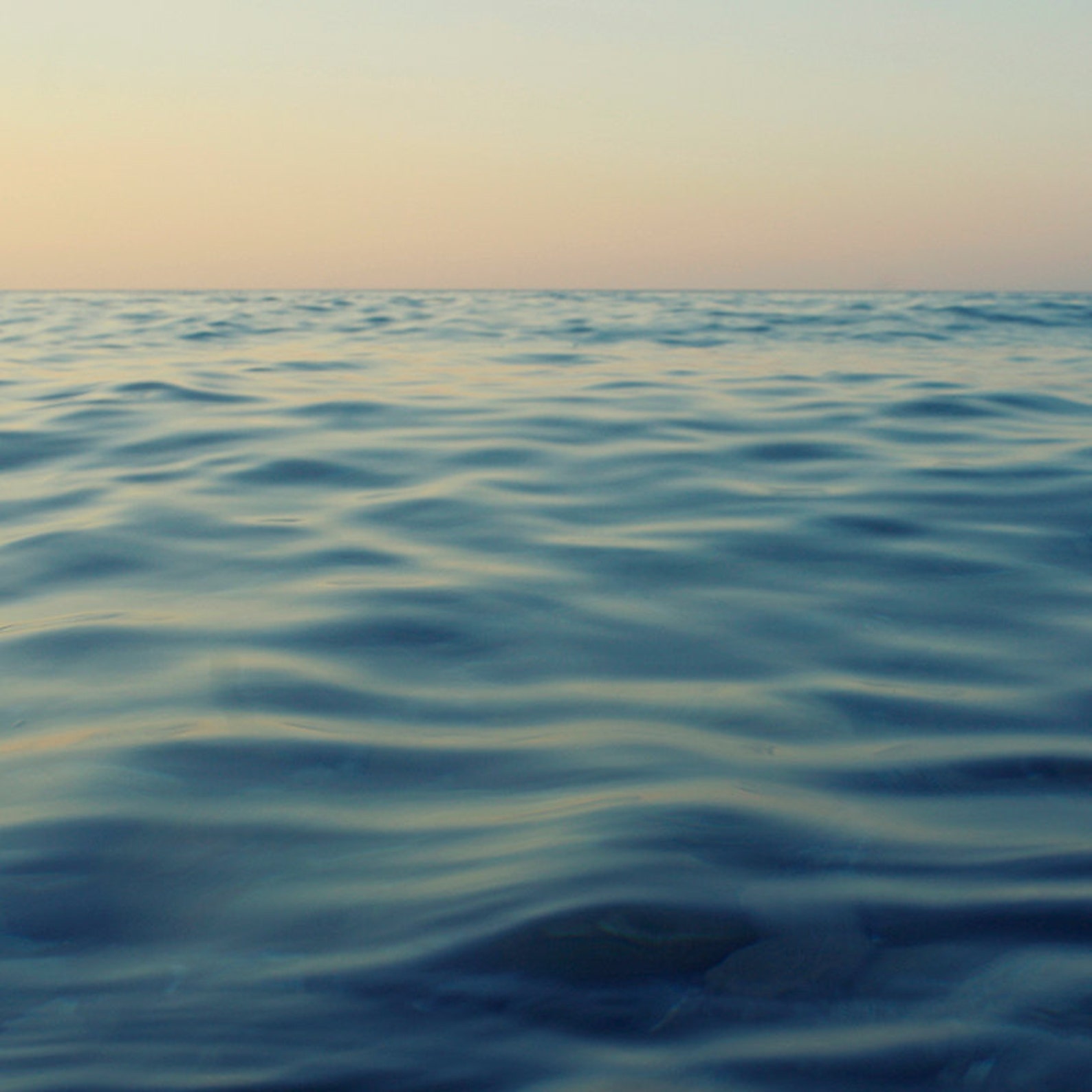 Nager dans la mer. été, photographie, tirage photo. En Sicile. Vacances ...