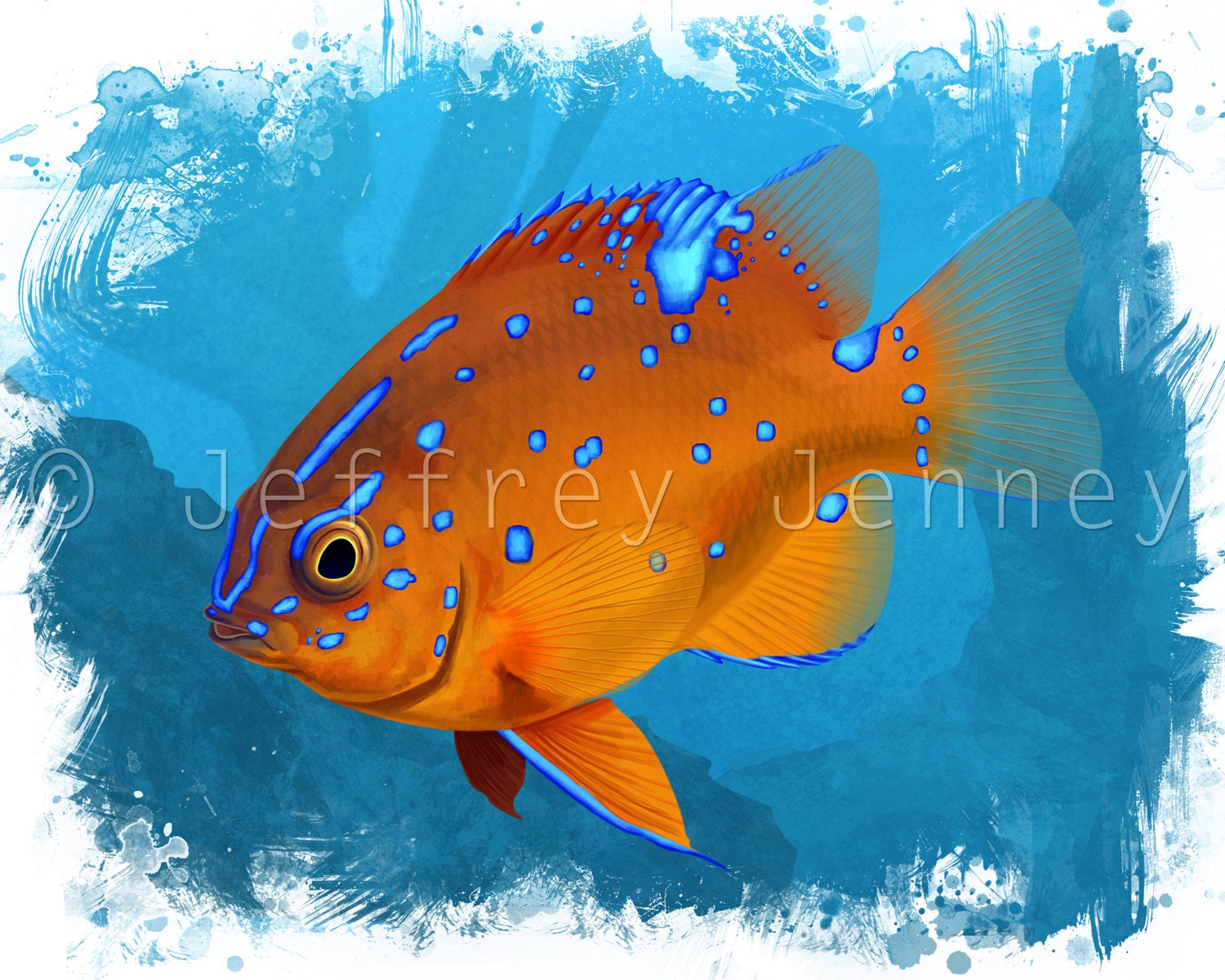 Garibaldi Fish Drawing