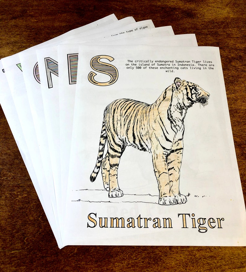 A-Z Animal Coloring Book Digital Download Print at Home | Etsy