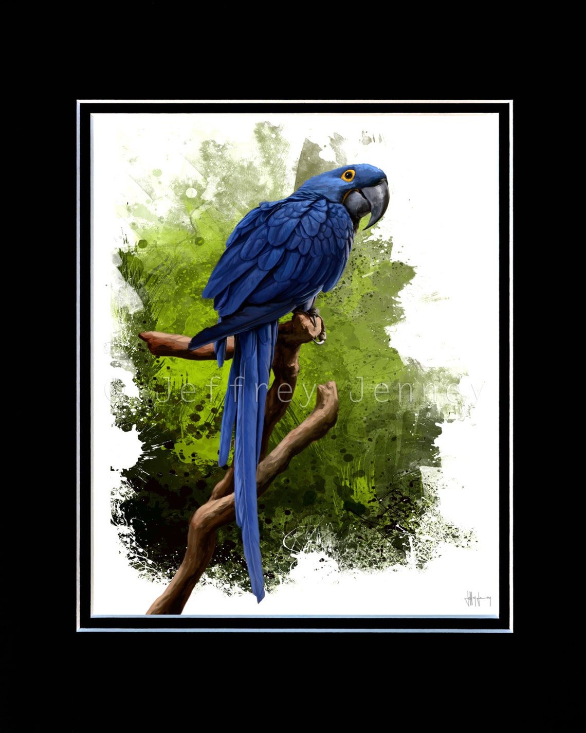 Macaw Print - Fine Art Print From an Original Painting - 8x10 - by ...