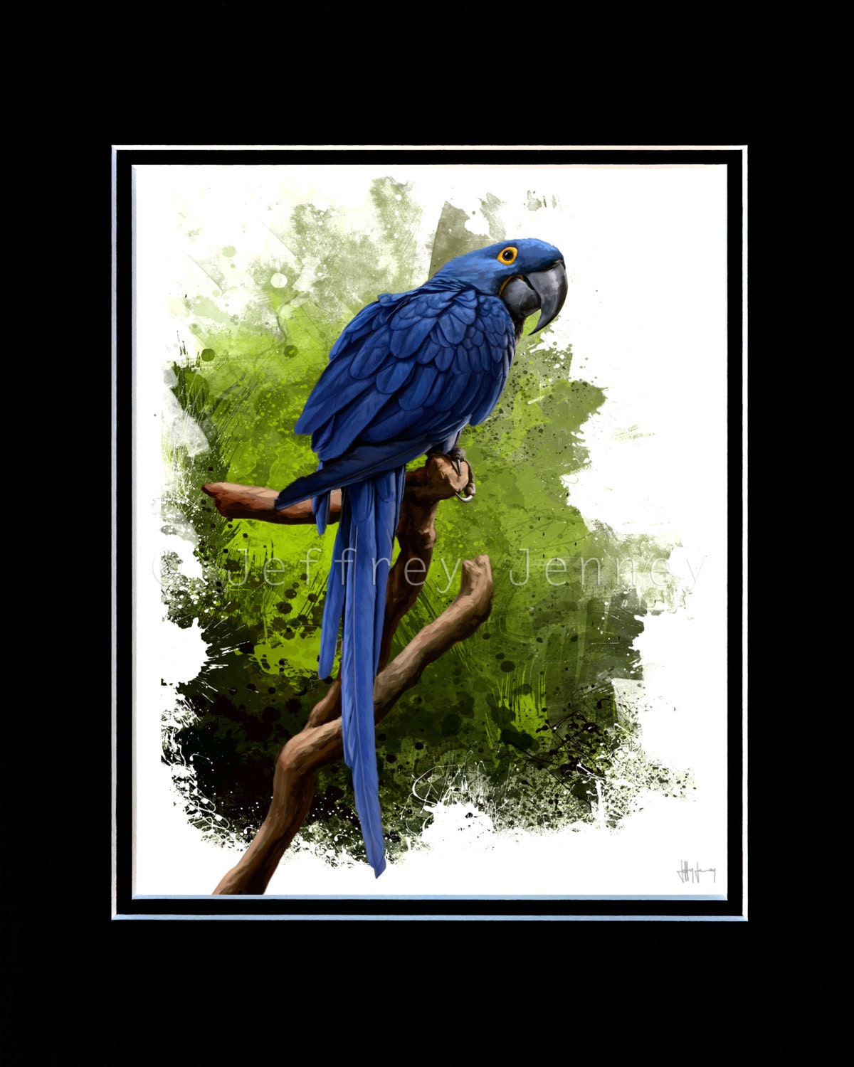 Macaw Print Fine Art Print From an Original Painting 8x10 - Etsy