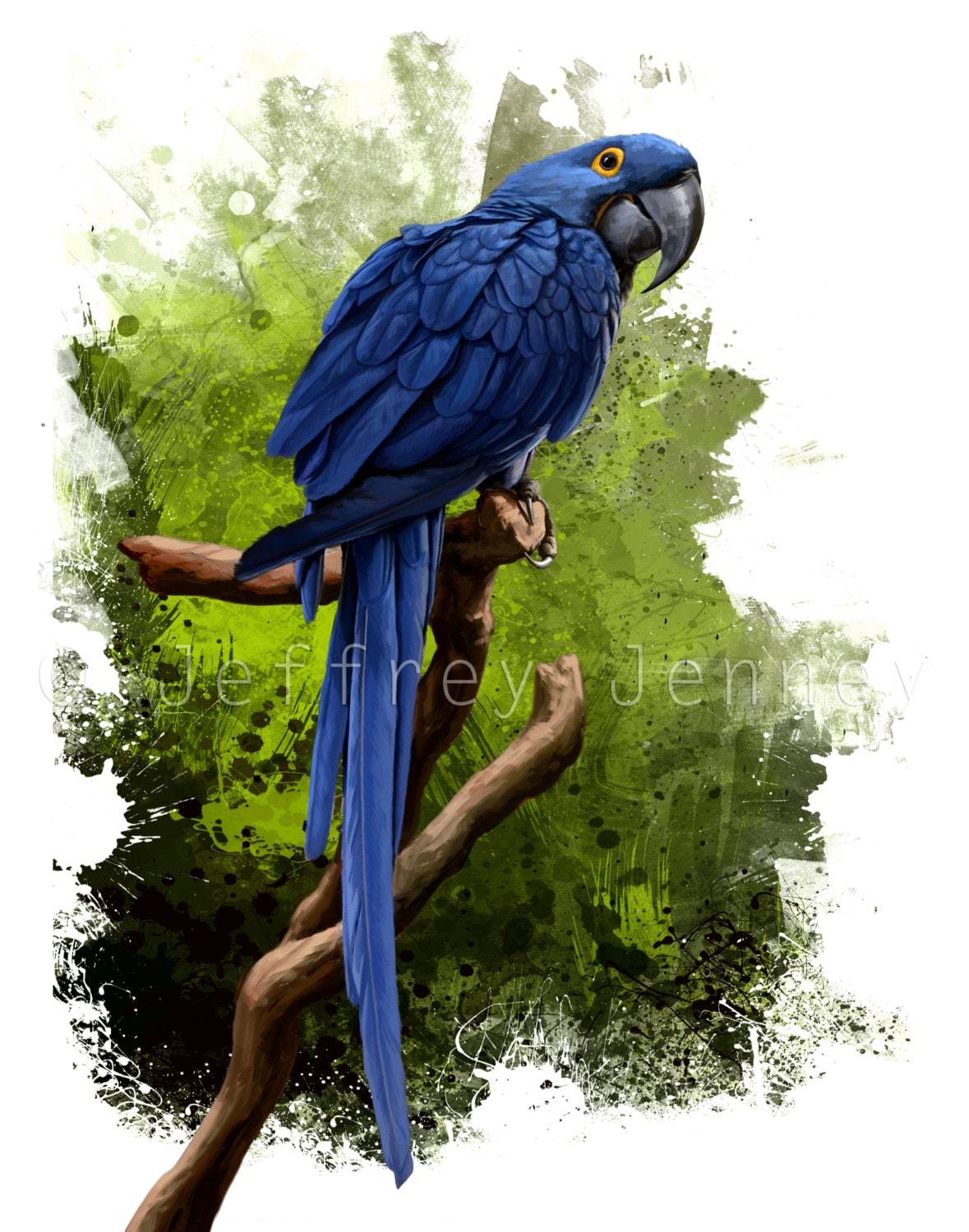 Macaw Print - Fine Art Print From an Original Painting - 8x10 - by ...