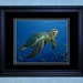 Sea Turtle Print - Fine Art Print From an Original Painting - 8x10 - by ...