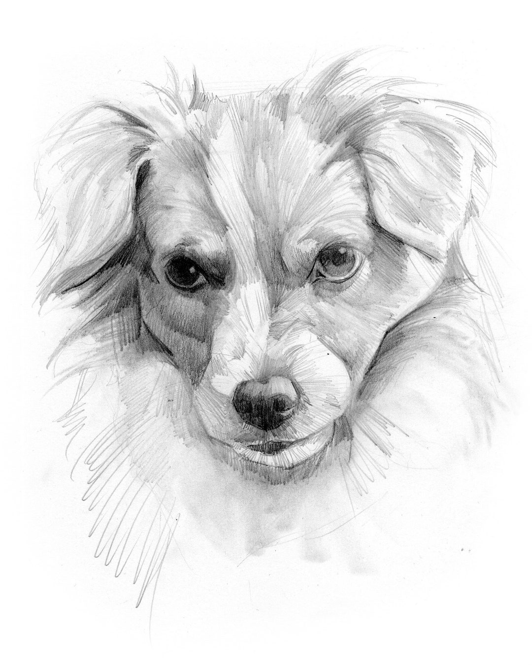 Custom Pet Pencil Drawing - Original 8x10 Drawing of Your Pet- Dog ...
