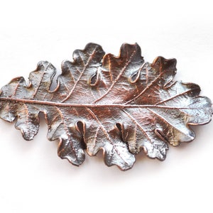 Copperplated Oak Leaf Electroformed Leaf Real Oak Leaf - Etsy