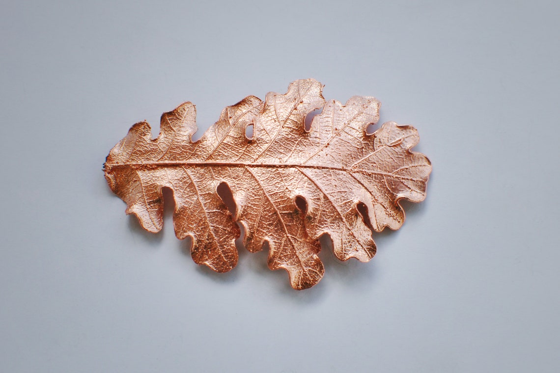 Copperplated Oak Leaf Electroformed Leaf Real Oak Leaf - Etsy